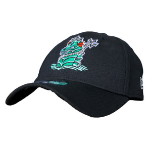 All Caps – Norfolk Tides Team Store