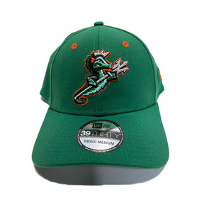 All Caps – Norfolk Tides Team Store